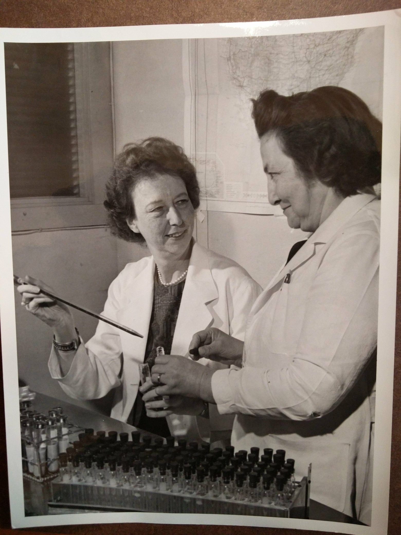 Dorothy M. Horstmann - Story | Science Stories